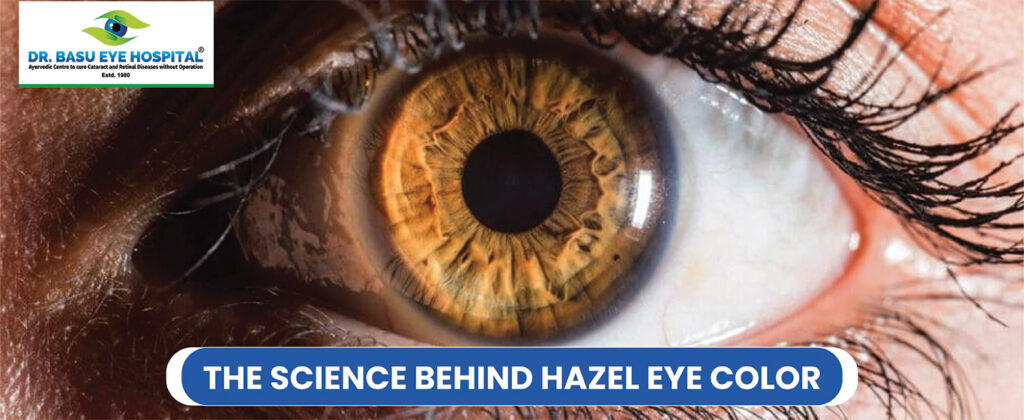 The Science Behind Hazel Eye Color